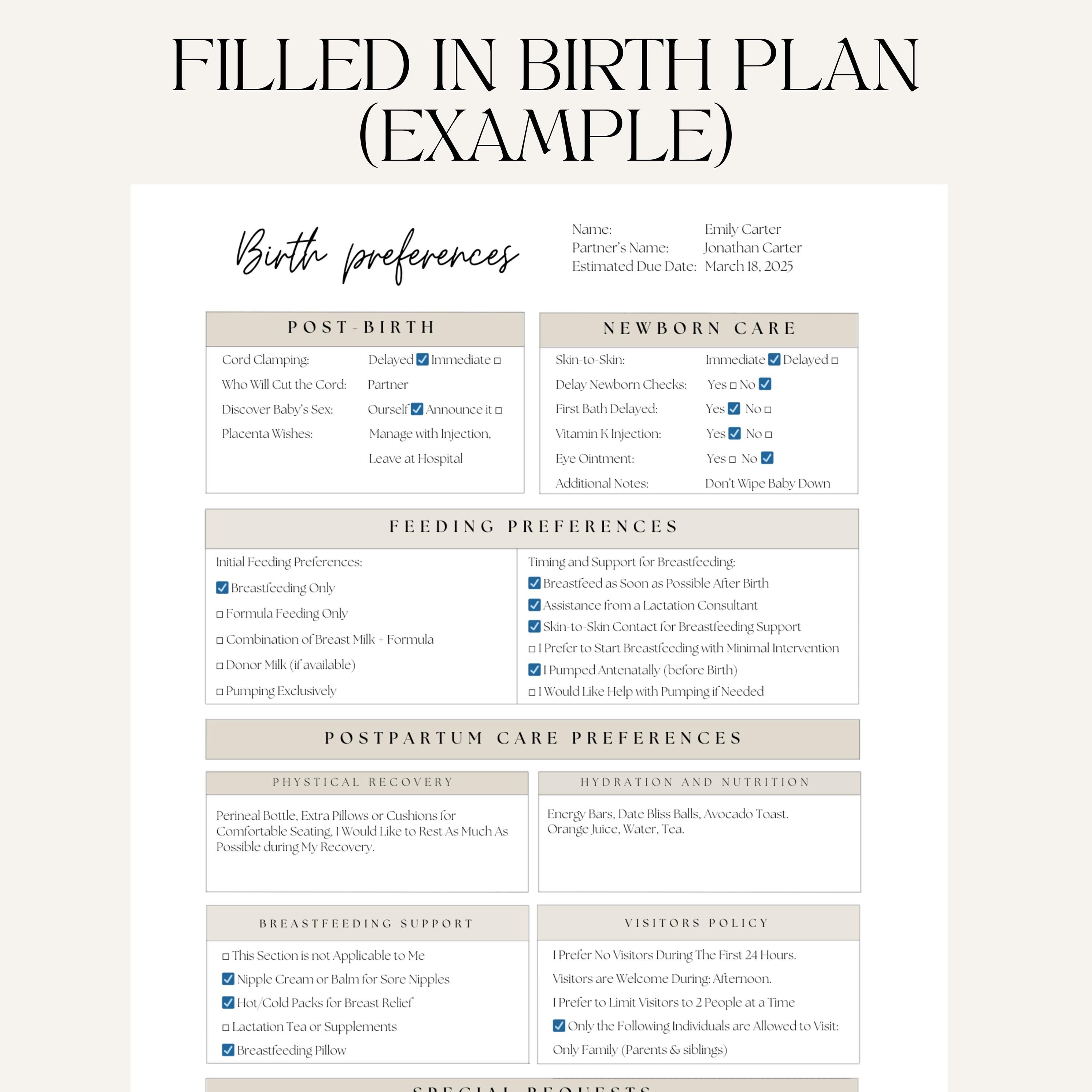 Birth Plan Template for Labor and Delivery Doula Midwife New Mom ...