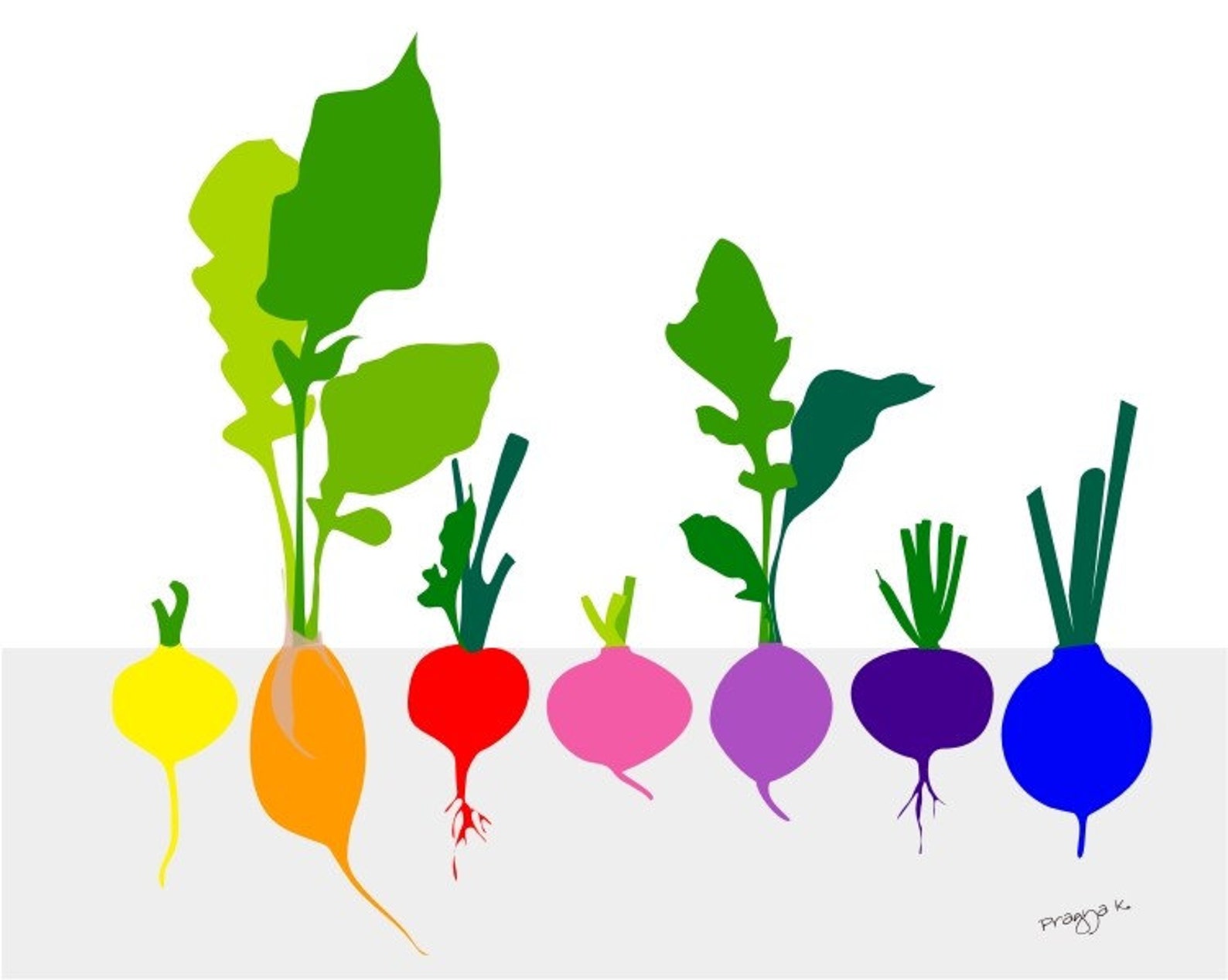 Vegetable Art, Radish Art, Radish Print, Food Art, Food Illustration ...