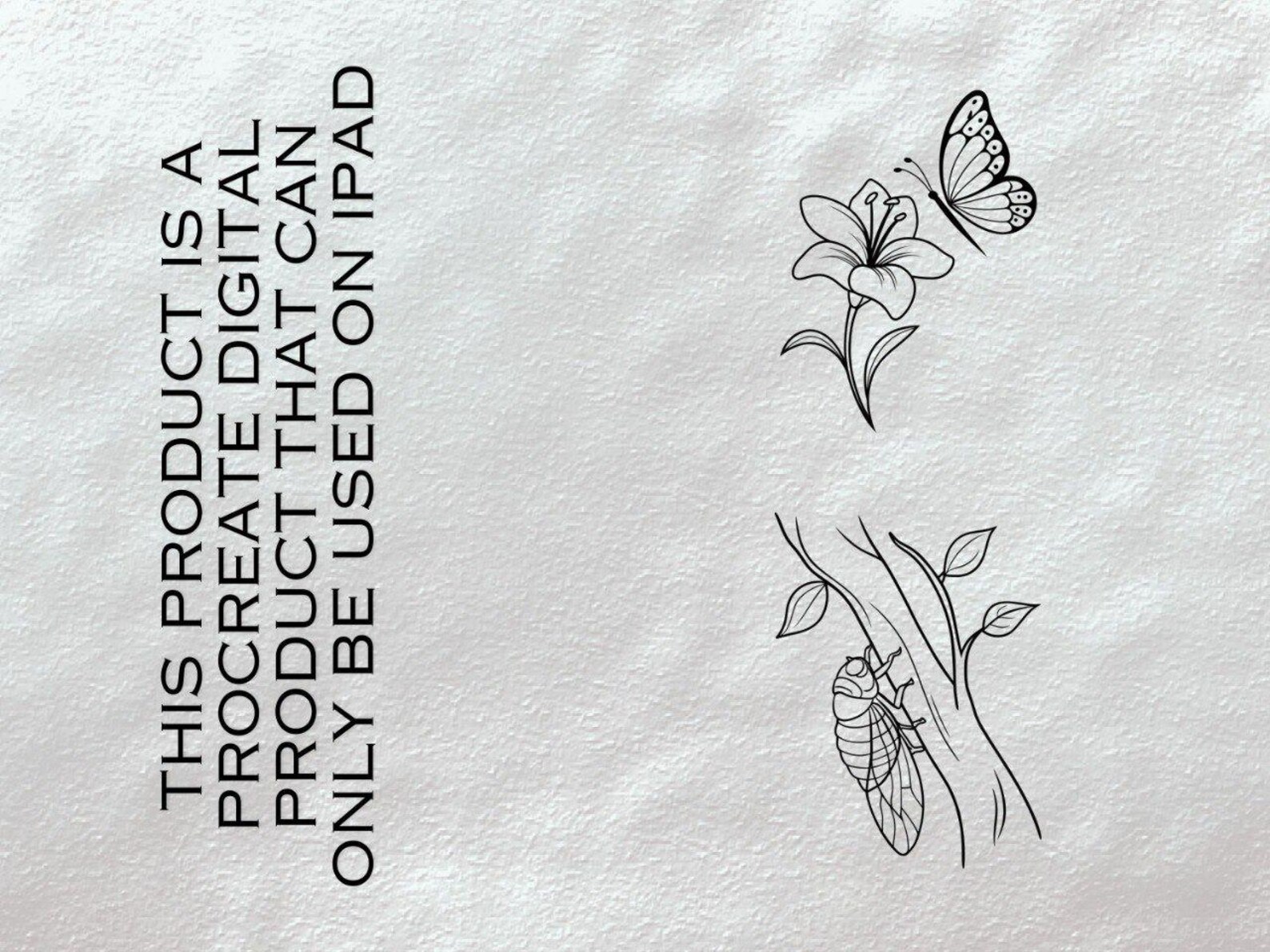 130 Insect Procreate Stamps - Bug Line Art, Butterfly, Beetle, and Ant ...