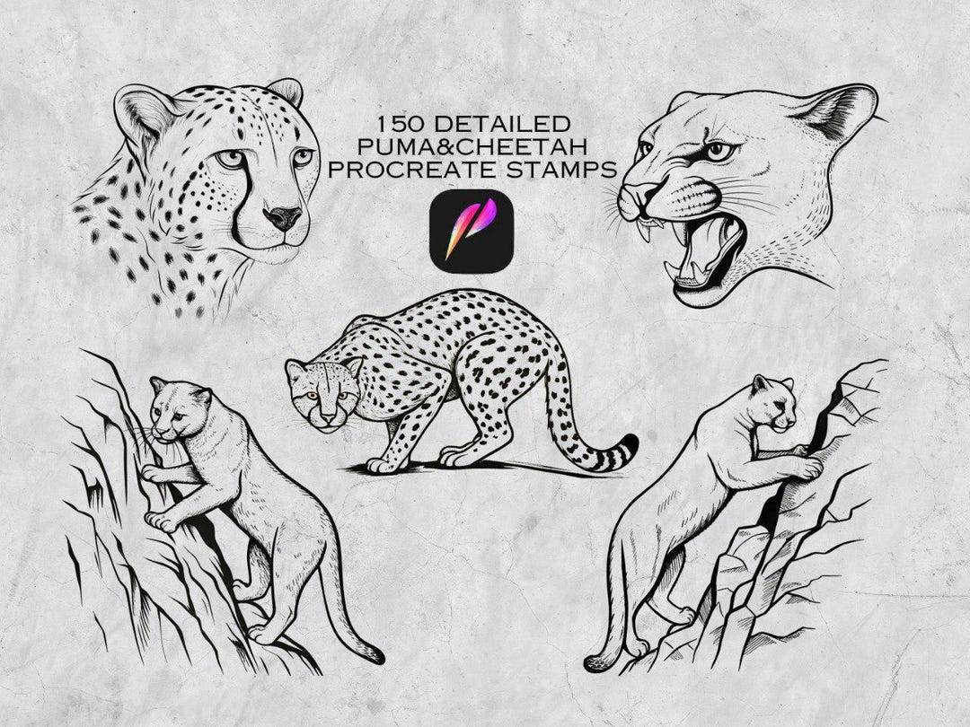 150 Cheetah & Puma Procreate Stamp Brushes – Wildlife Digital Art ...