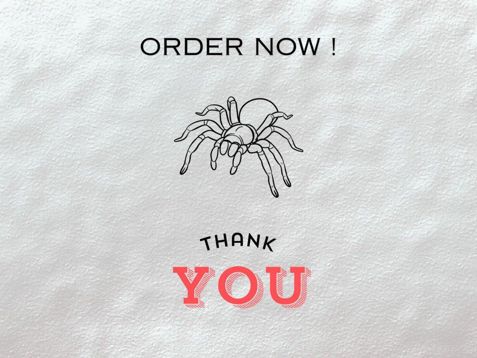 130 Insect Procreate Stamps - Bug Line Art, Butterfly, Beetle, and Ant ...