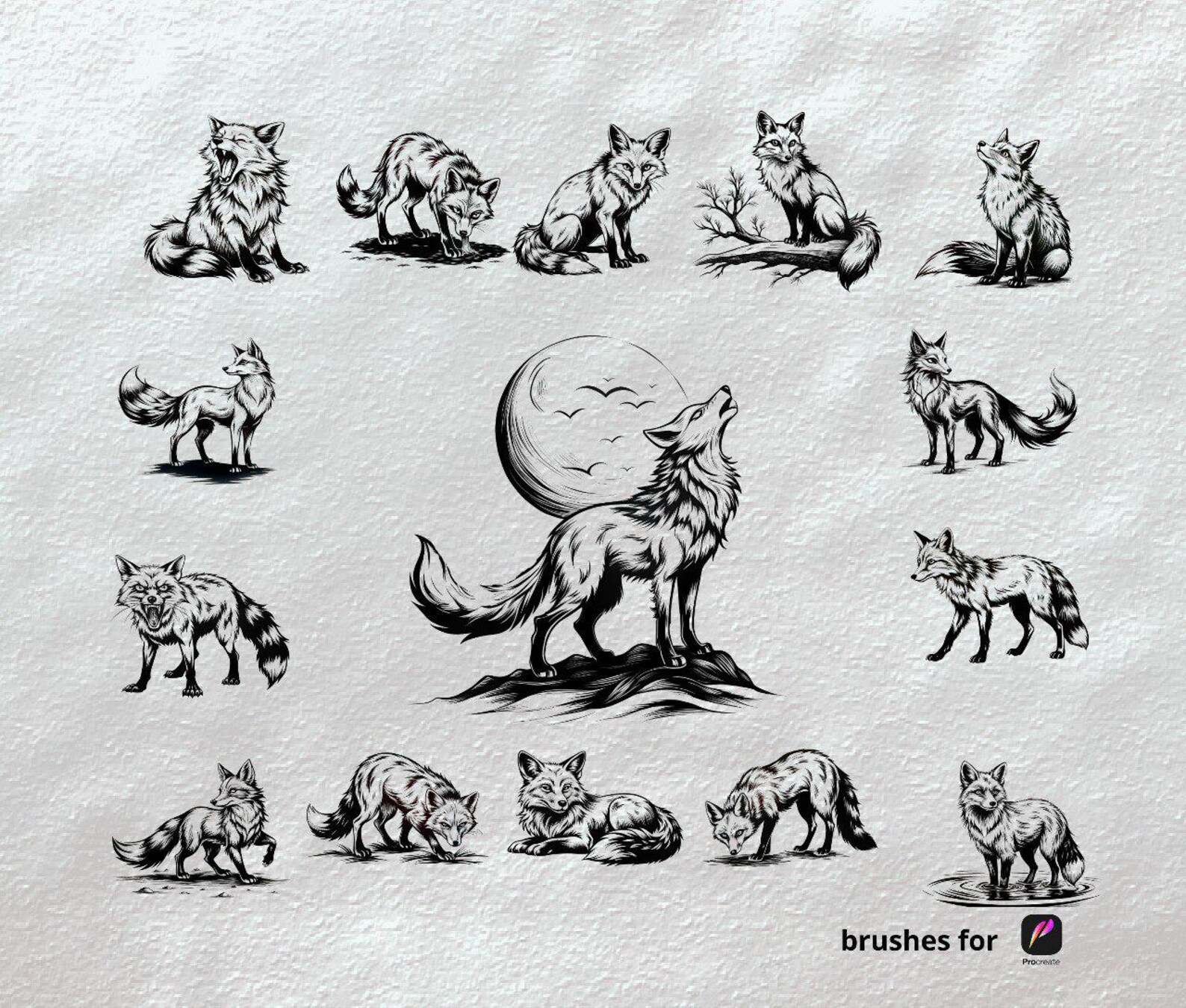 150 Fox Procreate Stamps Brushes | Hand-drawn Fox Line Art | Digital ...