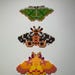 Bug Perler Bead Art Moth Insect Beads Pixel Art - Etsy