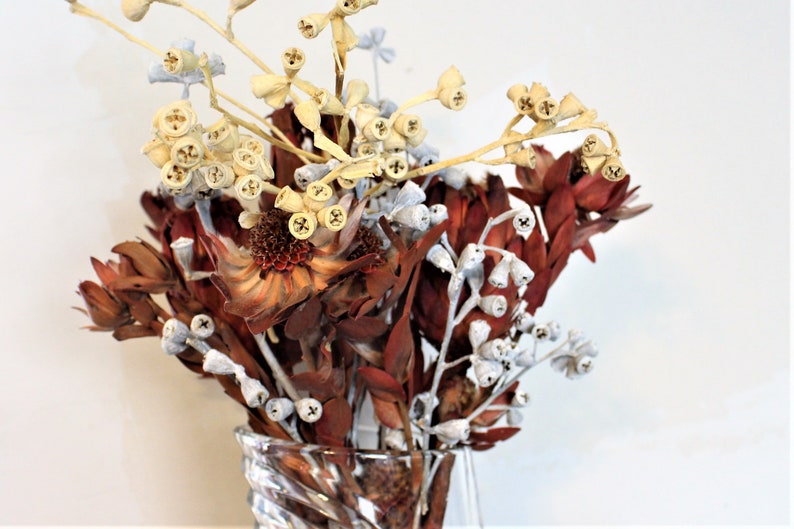 Conical Gum Branches Eucalyptus Pods White Washed or Bleached - Etsy