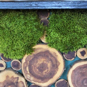 Mood Moss Preserved-gallon Bag Full Real Moss-floral Supplies-wedding ...