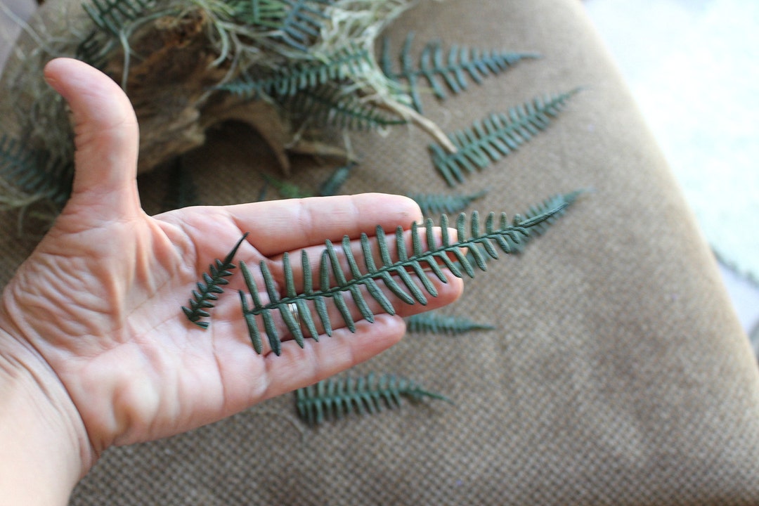 Preserved Ferns-real Preserved Ferns-20+ Green Ferns in Assorted Sizes ...