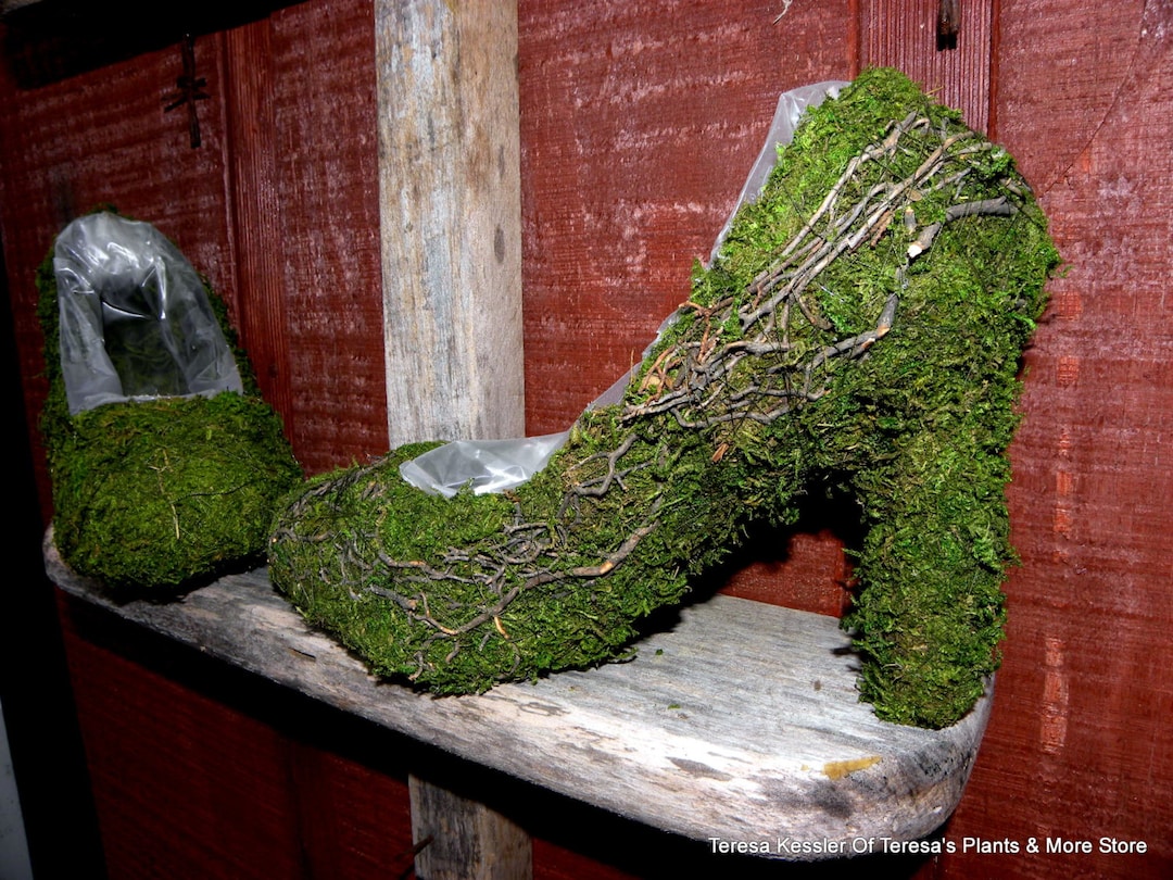 Moss Shoe Planter-moss Shoe-moss Planter-moss Pump - Etsy