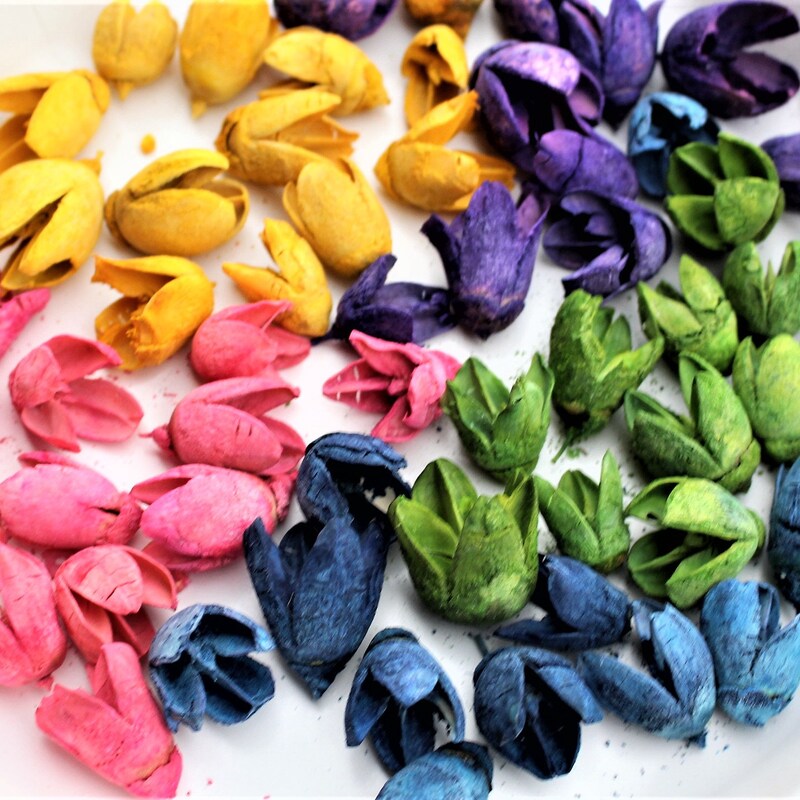 TeresasPlants - Etsy