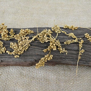 Metallic Gold Milo Berry Stem Sections - 1 Oz Bag - Etsy