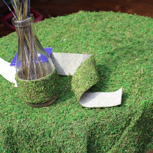 Moss Ribbon-moss Roll 2.5” X 36” per Roll -preserved Moss No Water ...