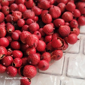 Canella Berry Pods - Bag Contains 1 Oz - Red or Orange - Loose Berries ...