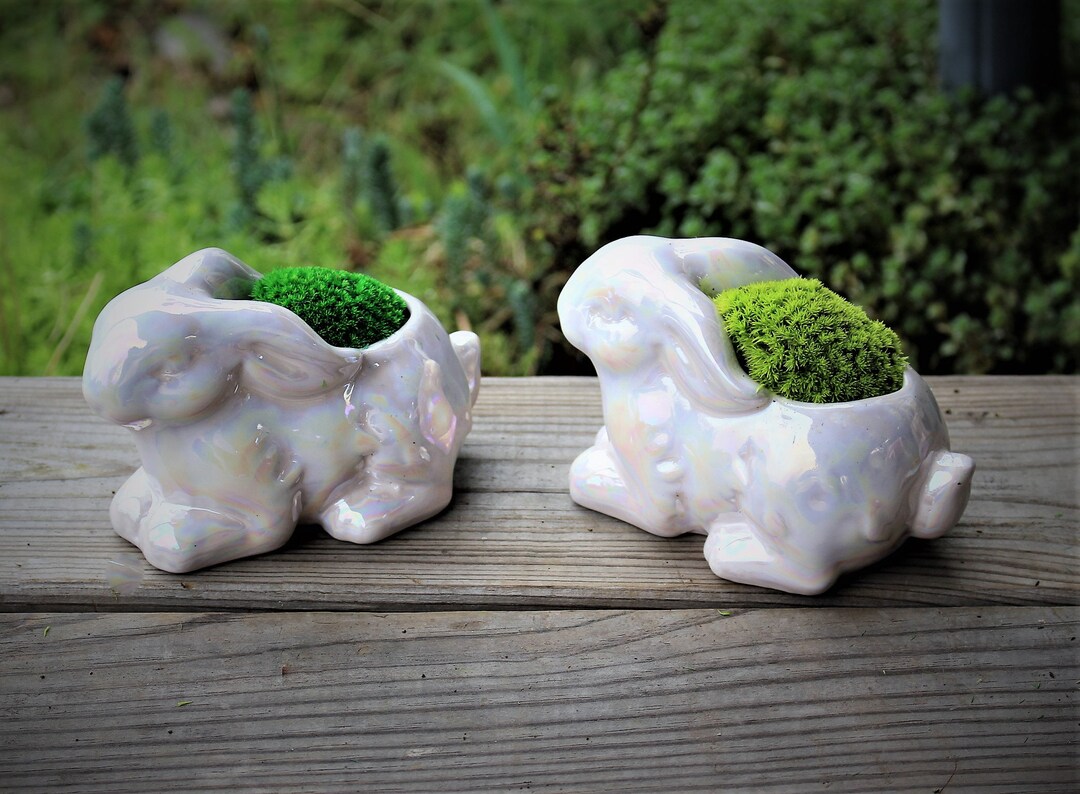 Stoneware Rabbit-pearlized Rabbit With Pillow Moss-preserved Pillow ...