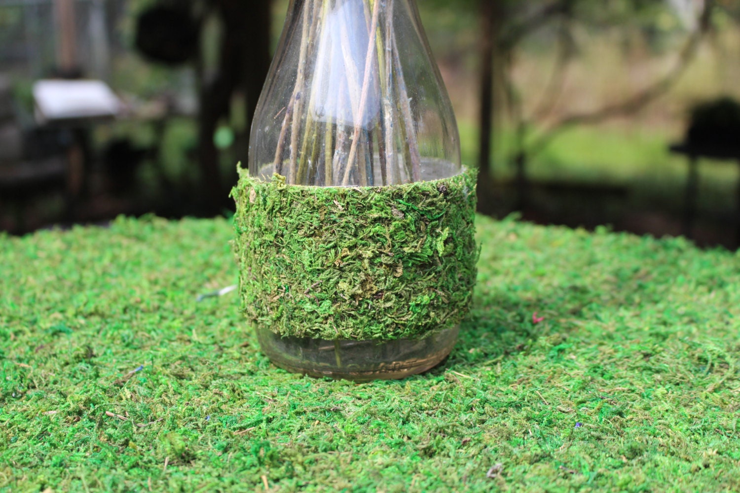 Moss Ribbon-moss Roll 2.5 X 36 per Roll preserved Moss No - Etsy