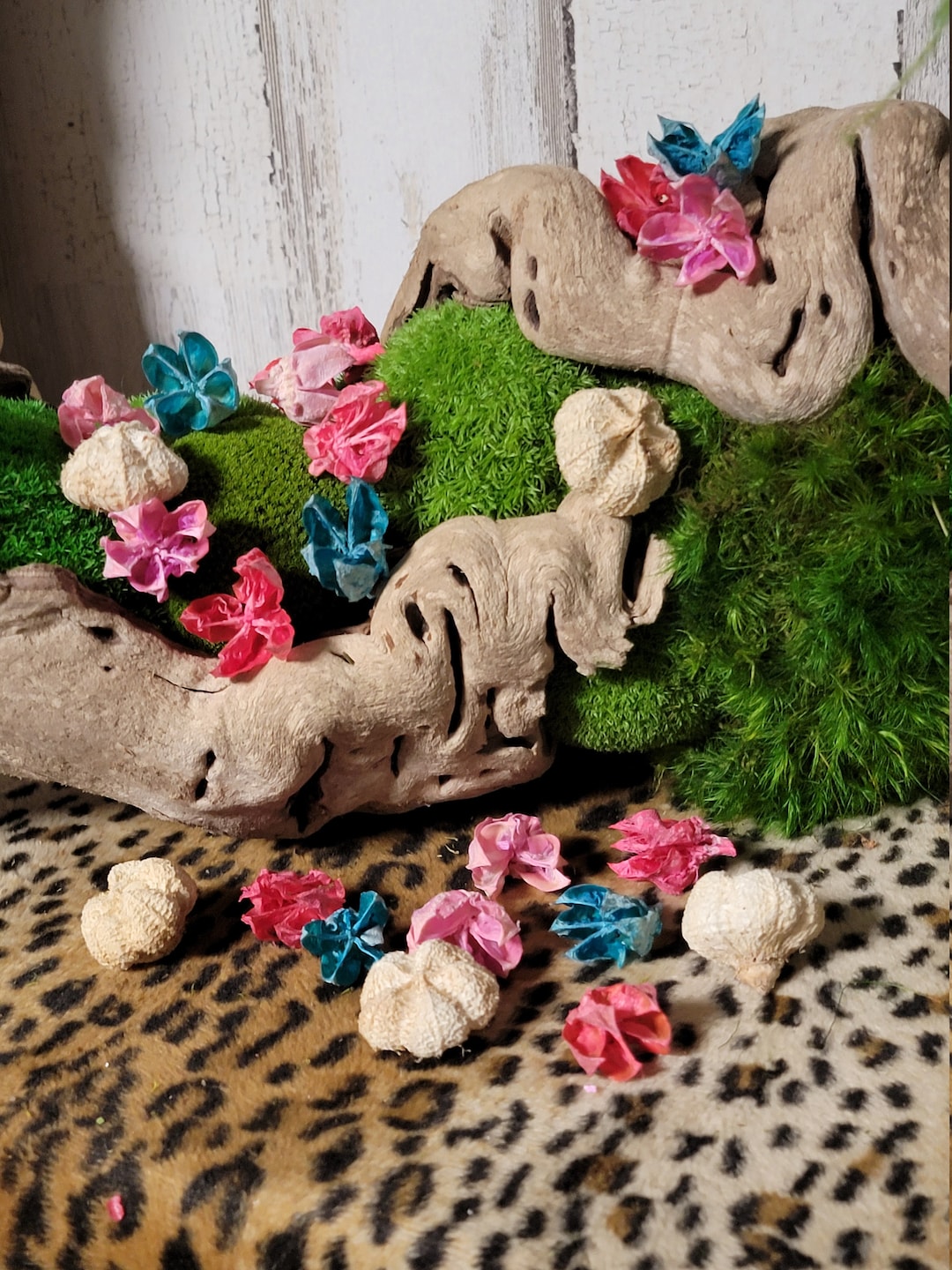 Hibiscus Flowers Dried Pods-1 Cup Full About 45 Seed Pods-dried Floral ...