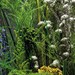 Bulk Tree Fern-100 Stems Preserved - Etsy