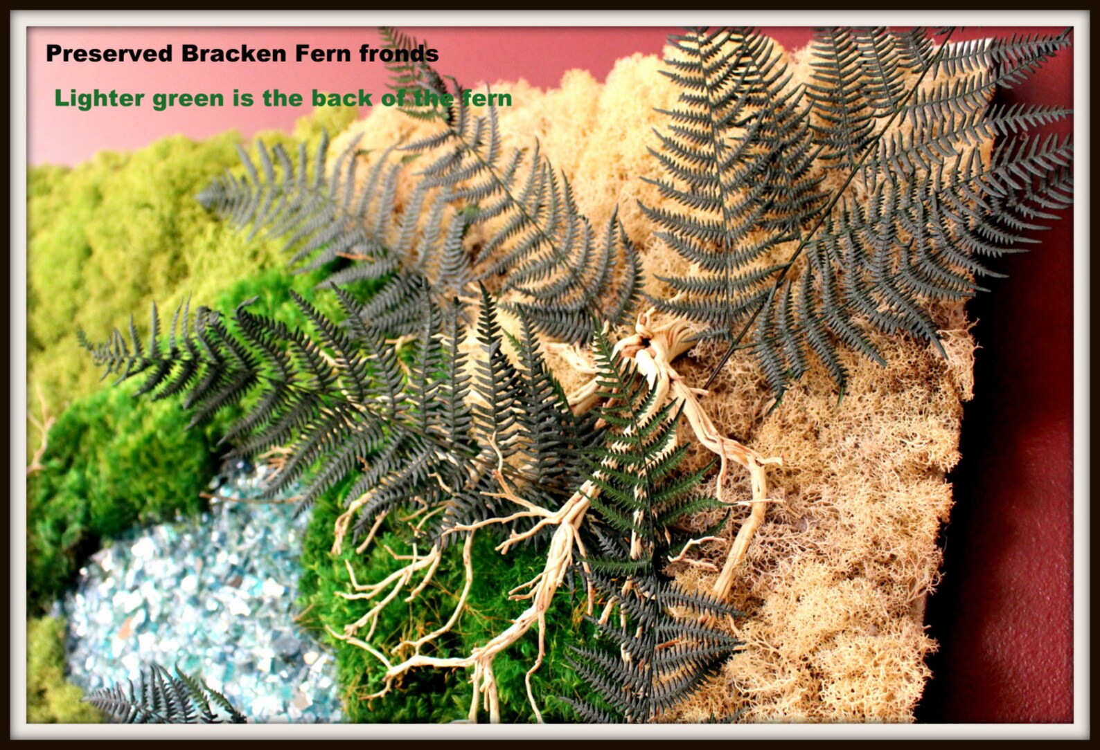 Preserved Ferns-tiny Ferns-pressed & Preserved-invitation - Etsy