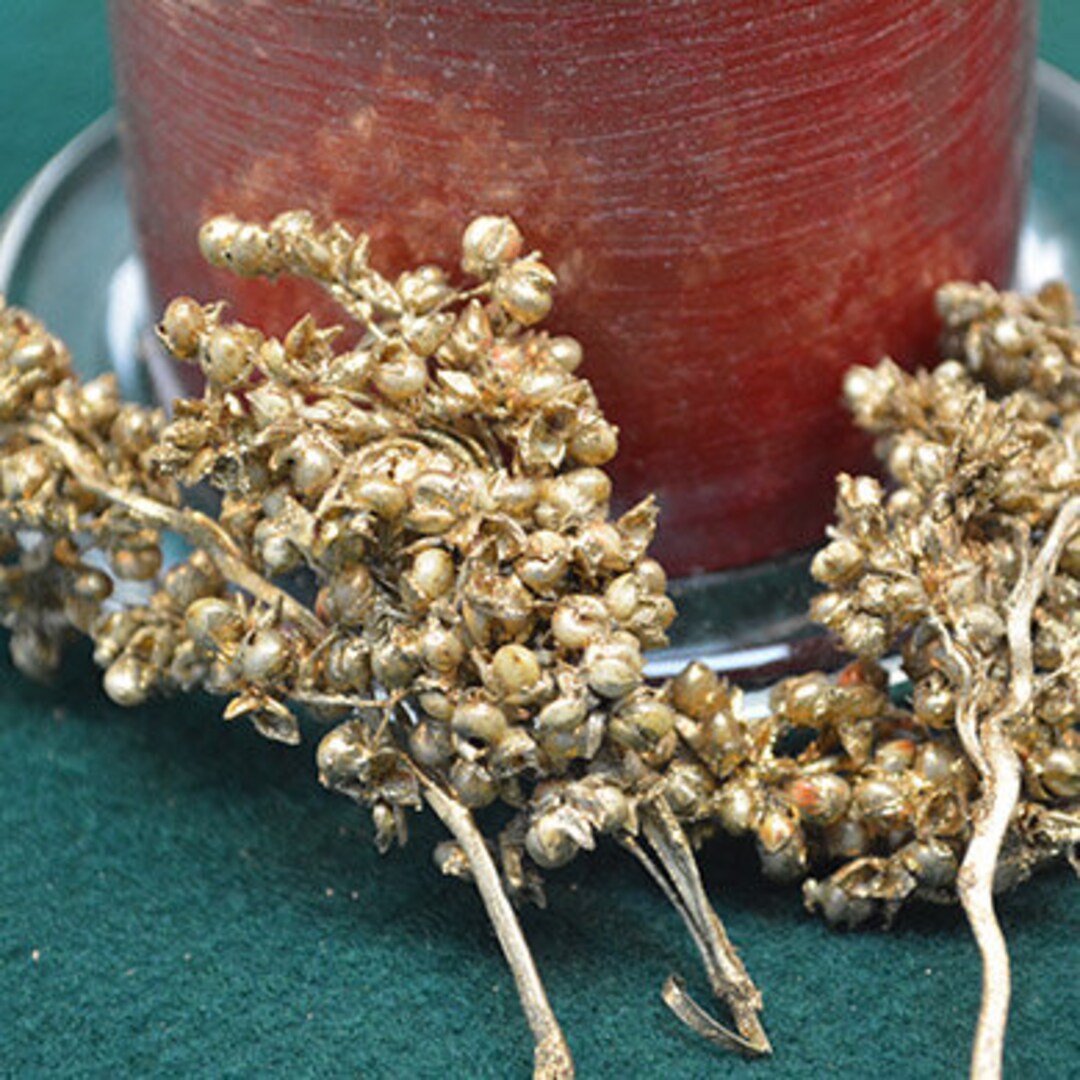 Metallic Gold Milo Berry Stem Sections - 1 Oz Bag - Etsy