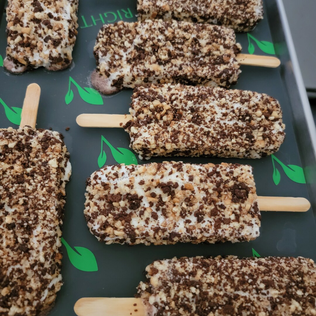 Freeze Dried Fudge Crunch Ice Cream Bars - 2 Pack - Etsy