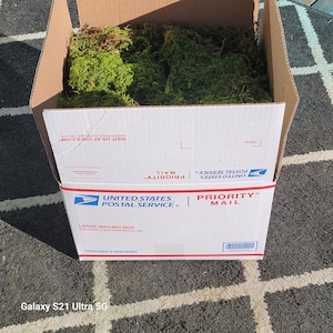 Bulk Preserved Sheet Moss 5 Pound Box Moss Runners Moss Mats About 12 ...