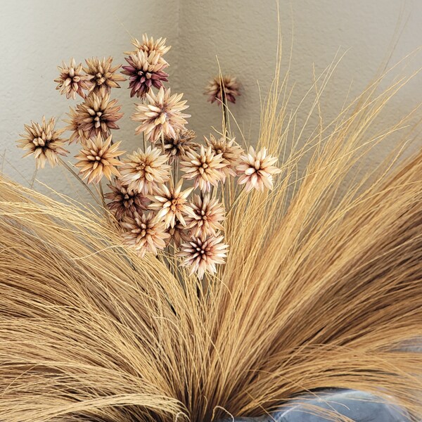 Dried Flower Stems - Etsy