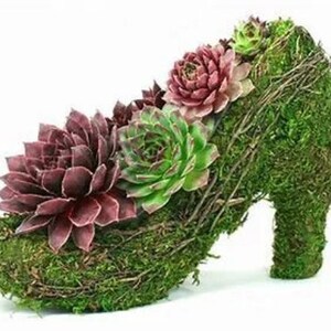 Moss Shoe Planter | Wedding Centerpiece | Moss and Vines Shoe | Moss ...