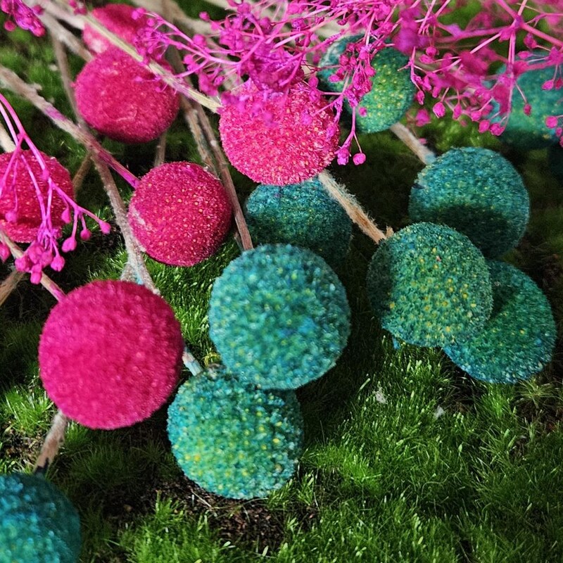 TeresasPlants - Etsy