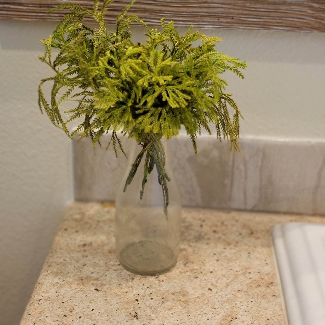 Princess Pine Lycopodium Preserved-choose 12 OR 25 Stems - Etsy