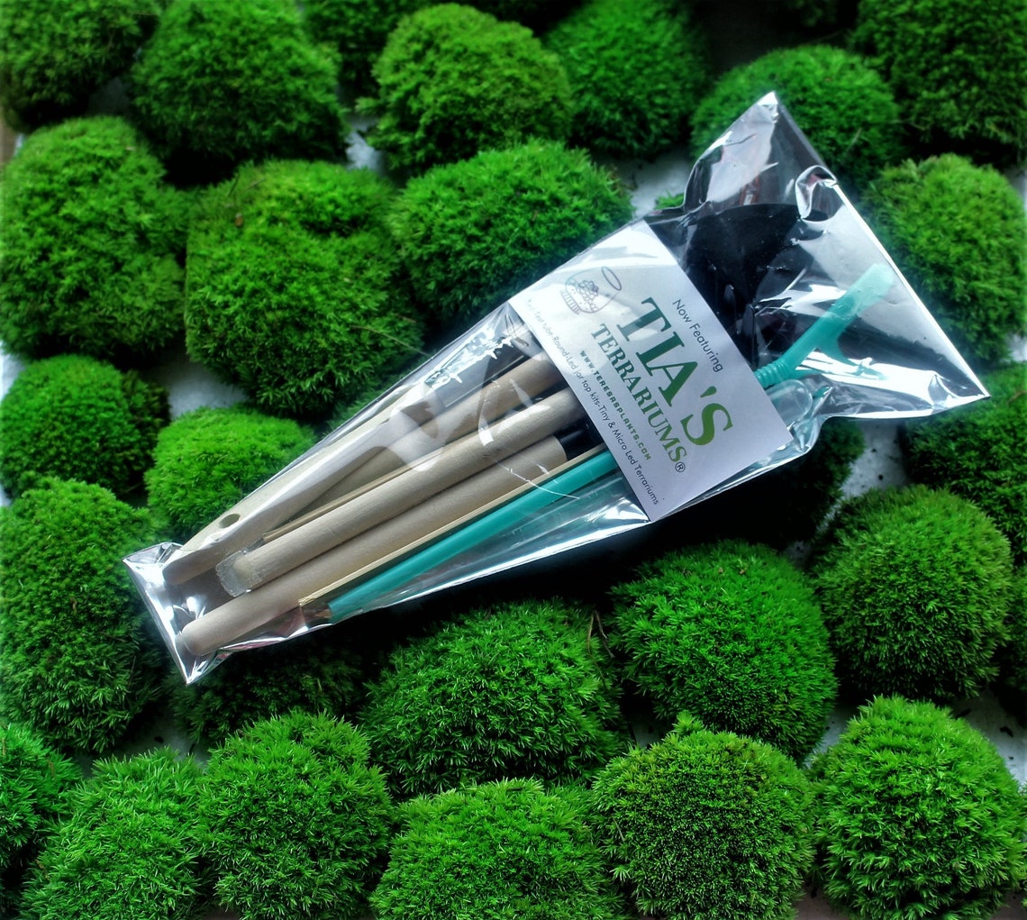 Terrarium Tool Kit-7 Piece Set Includes - Etsy
