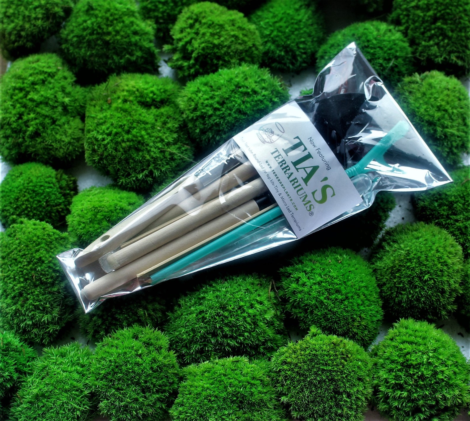 Terrarium Tool Kit-7 Piece Set Includes - Etsy