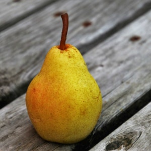 Brandied Pear Wax Melts, Choice of Size, Sweet Fruit Scented Wax Melts ...