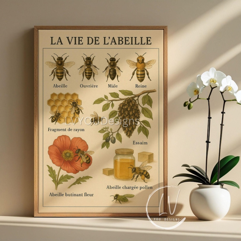 Vintage French Bee Poster - Etsy