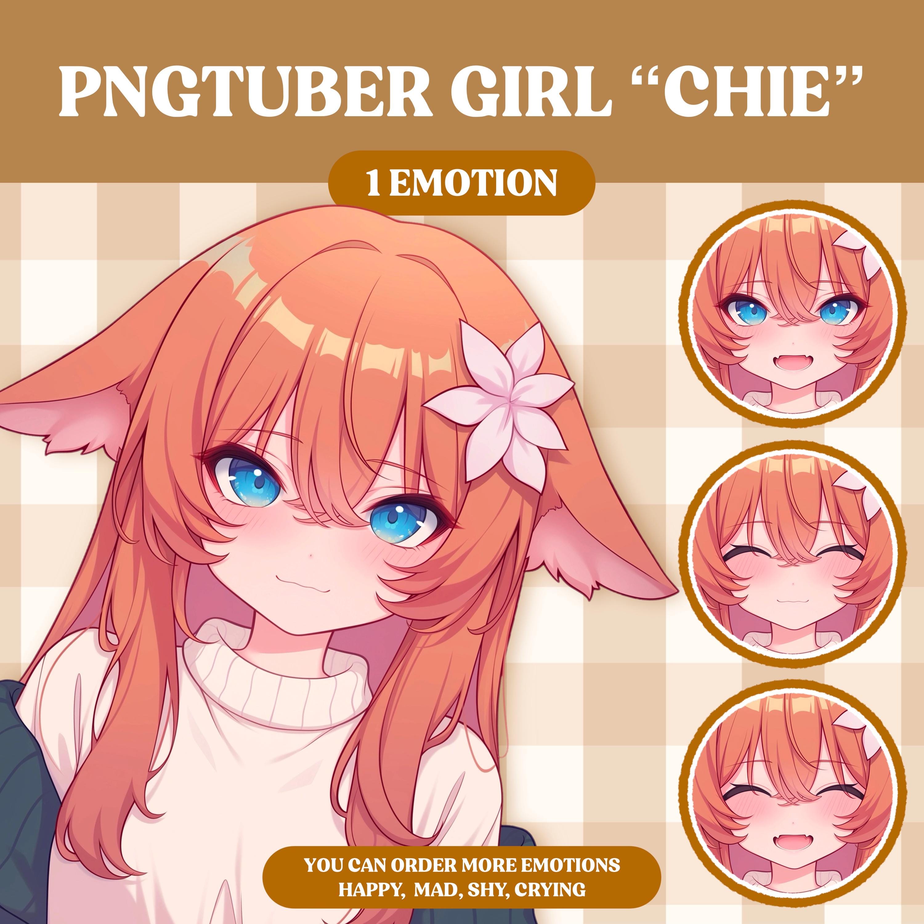 Modelo PNGTuber linda / Modelo prefabricado PNGTuber de chica linda ...