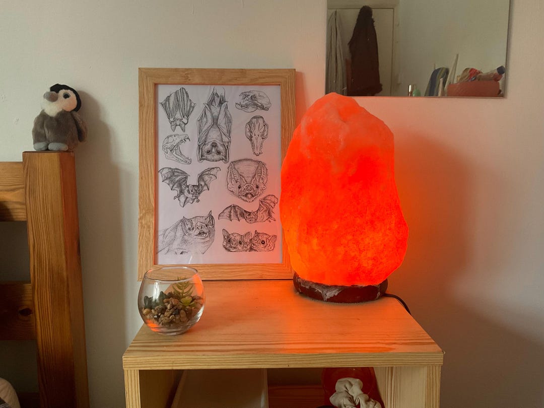 Bats Flash Sheet, Fine Line and Dot Work Art Piece - Etsy