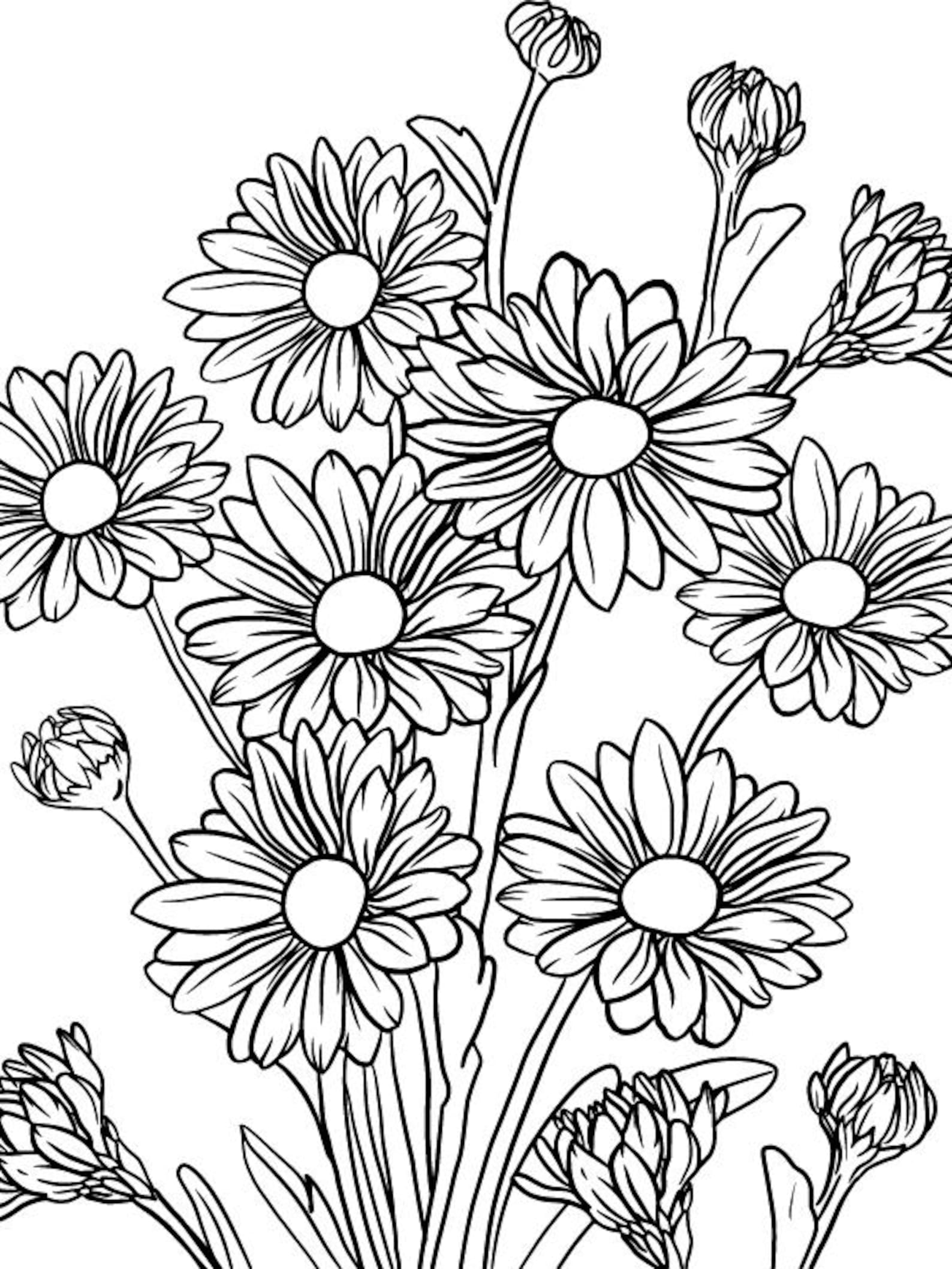 100 Misc Flower Coloring Pages Download Flower Prints Botanical Flowers Floral Elegance Relaxing ...