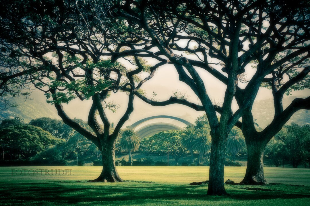 Trees / Arc / Tree Branches / Nature / Landscape / Honolulu, Hawaii ...