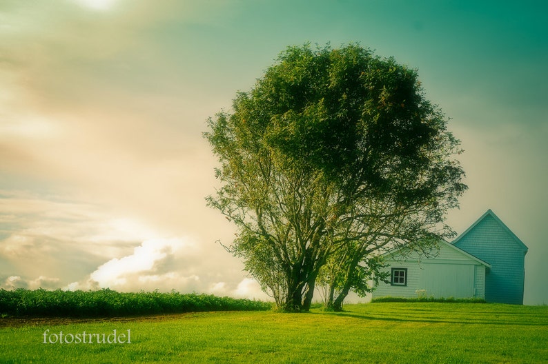 Prince Edward Island / PEI Photograph. A Gentle Landscape / Nature ...