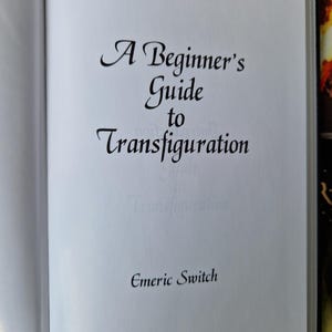A Beginner's Guide to Transfiguration. Harry Style. Gift for ...
