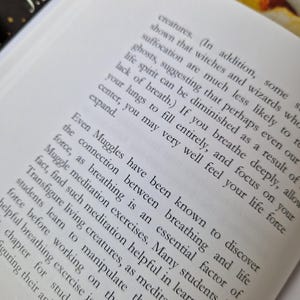 A Beginner's Guide to Transfiguration. Harry Style. Gift for ...