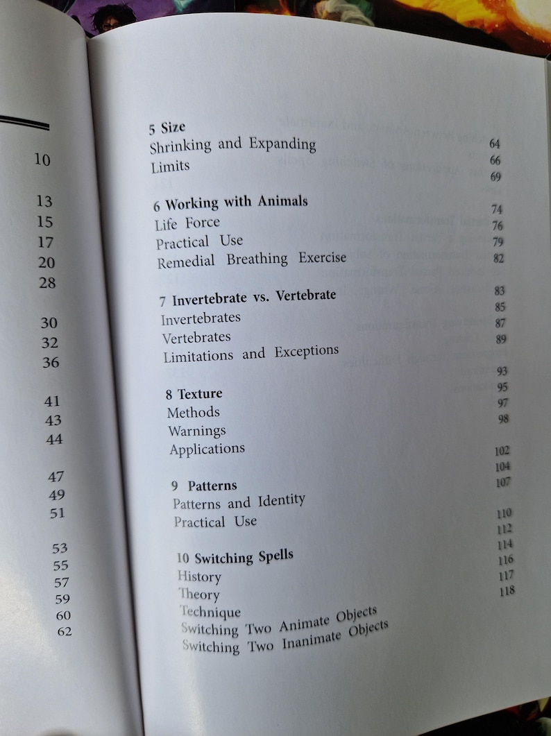 A Beginner's Guide to Transfiguration. Harry Style. Gift for ...