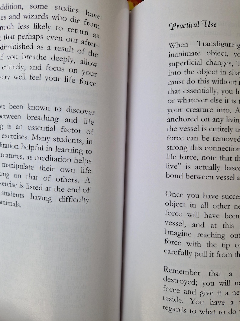 A Beginner's Guide to Transfiguration. Harry Style. Gift for ...
