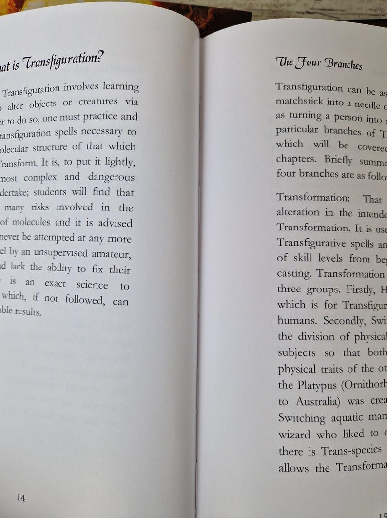 A Beginner's Guide to Transfiguration. Harry Style. Gift for ...