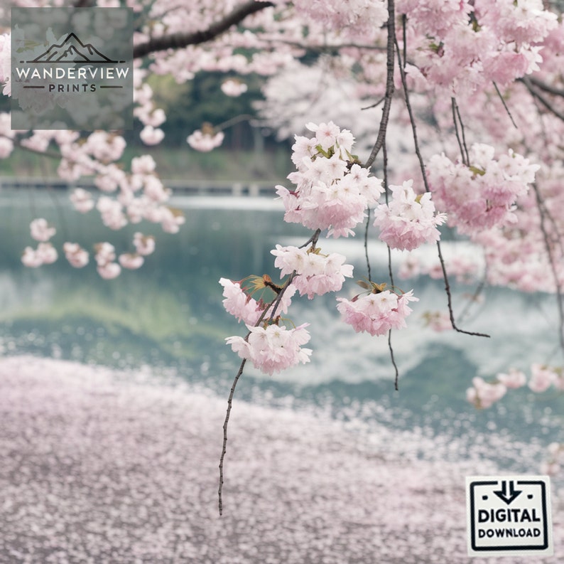 10 Floral Prints - High-resolution Digital Download - Botanical ...