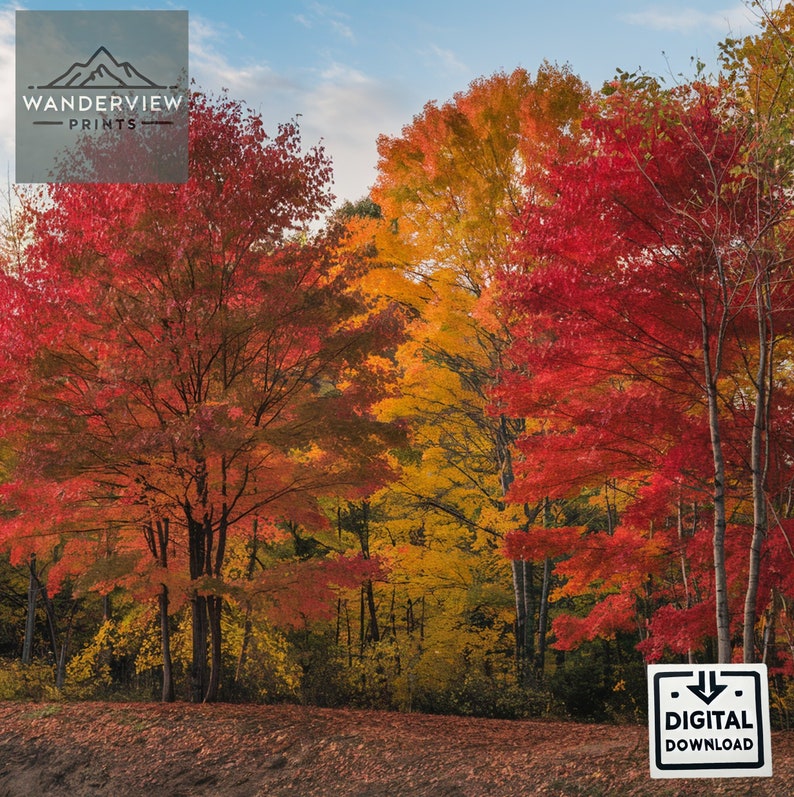 10 Nature Prints - High-resolution Digital Download - Landscape ...