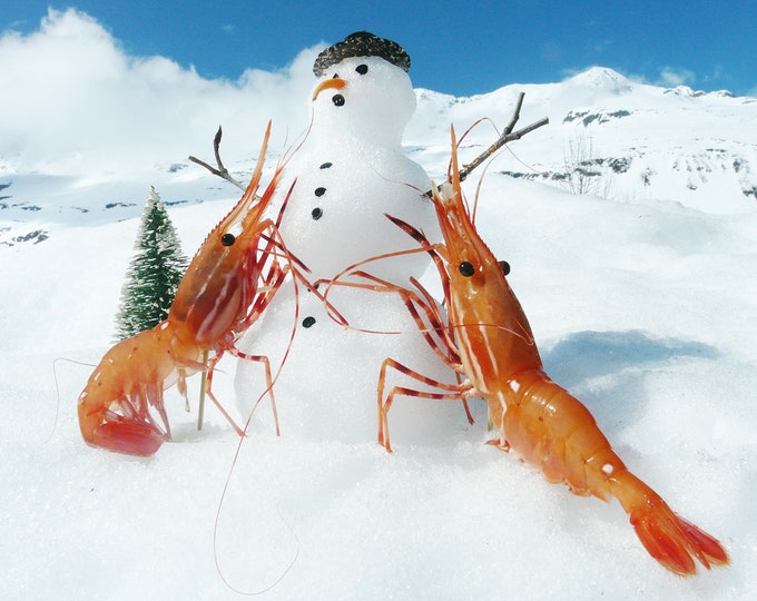 Shrimp Building A Snowman Card by Shrimp Whisperer AK - Etsy