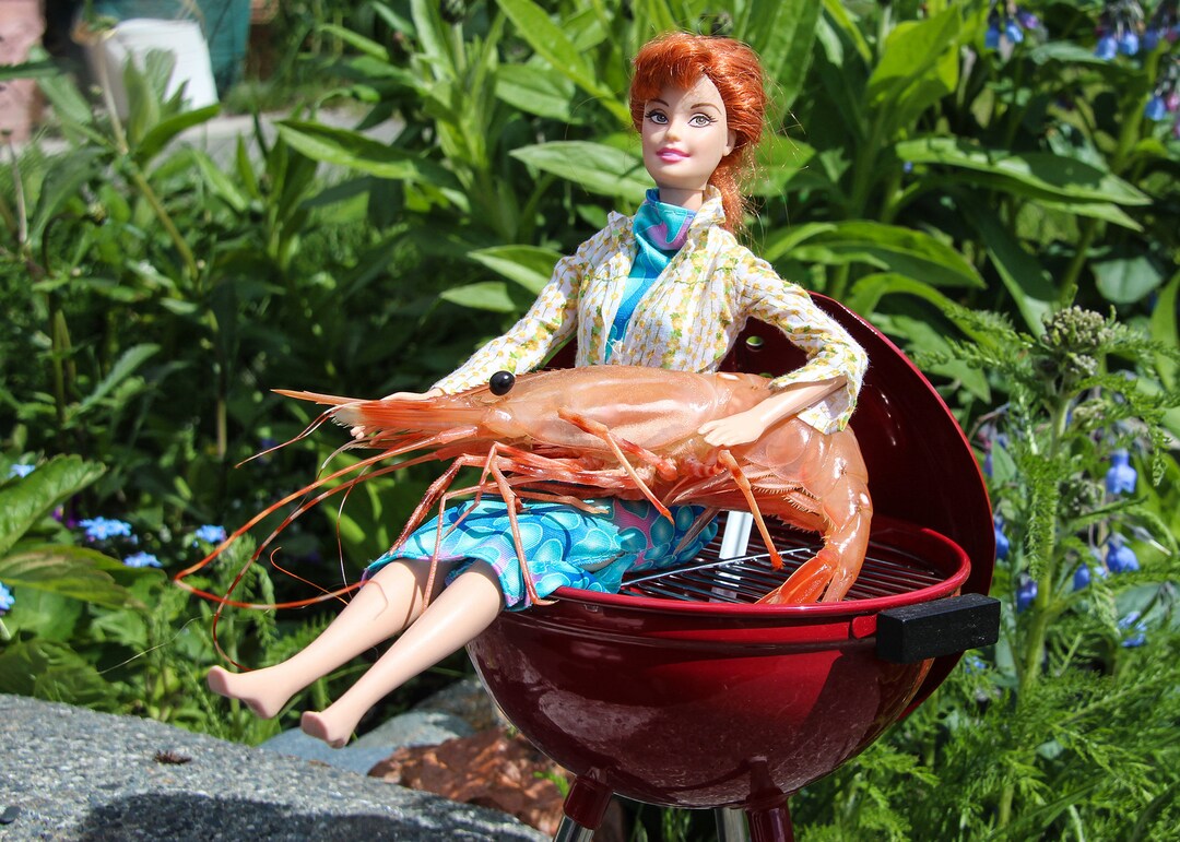 Shrimp On The Barbie Card By Shrimp Whisperer Ak Etsy