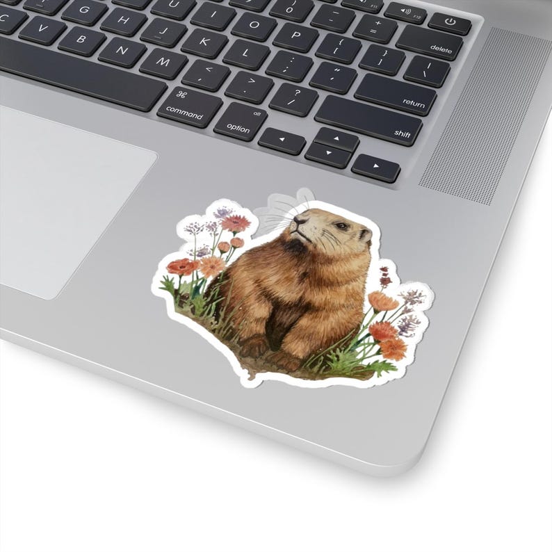 Cute Groundhog Stickers, Adorable Animal Stickers, Fun Sticker Set ...