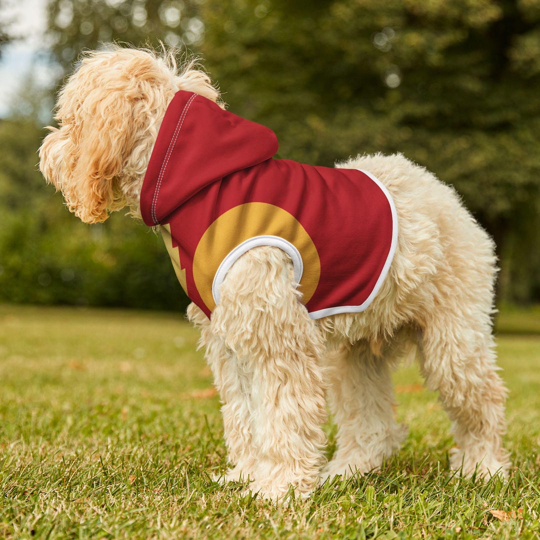 Shazam Pet Hoodie, DC Cinematic Universe Dog Sweatshirt, Superhero Cat ...