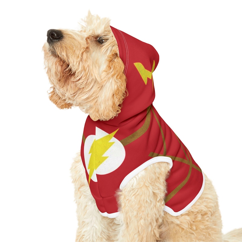 Flash Costume - Etsy