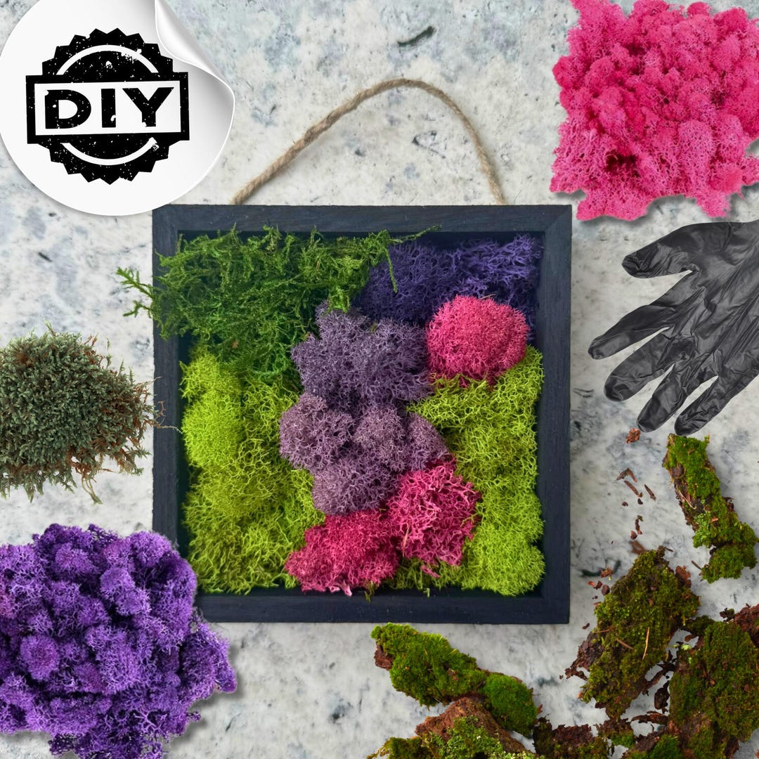 DIY Moss Wall Art Kit – Make Your Own Preserved Moss Frame | Easy Craft ...