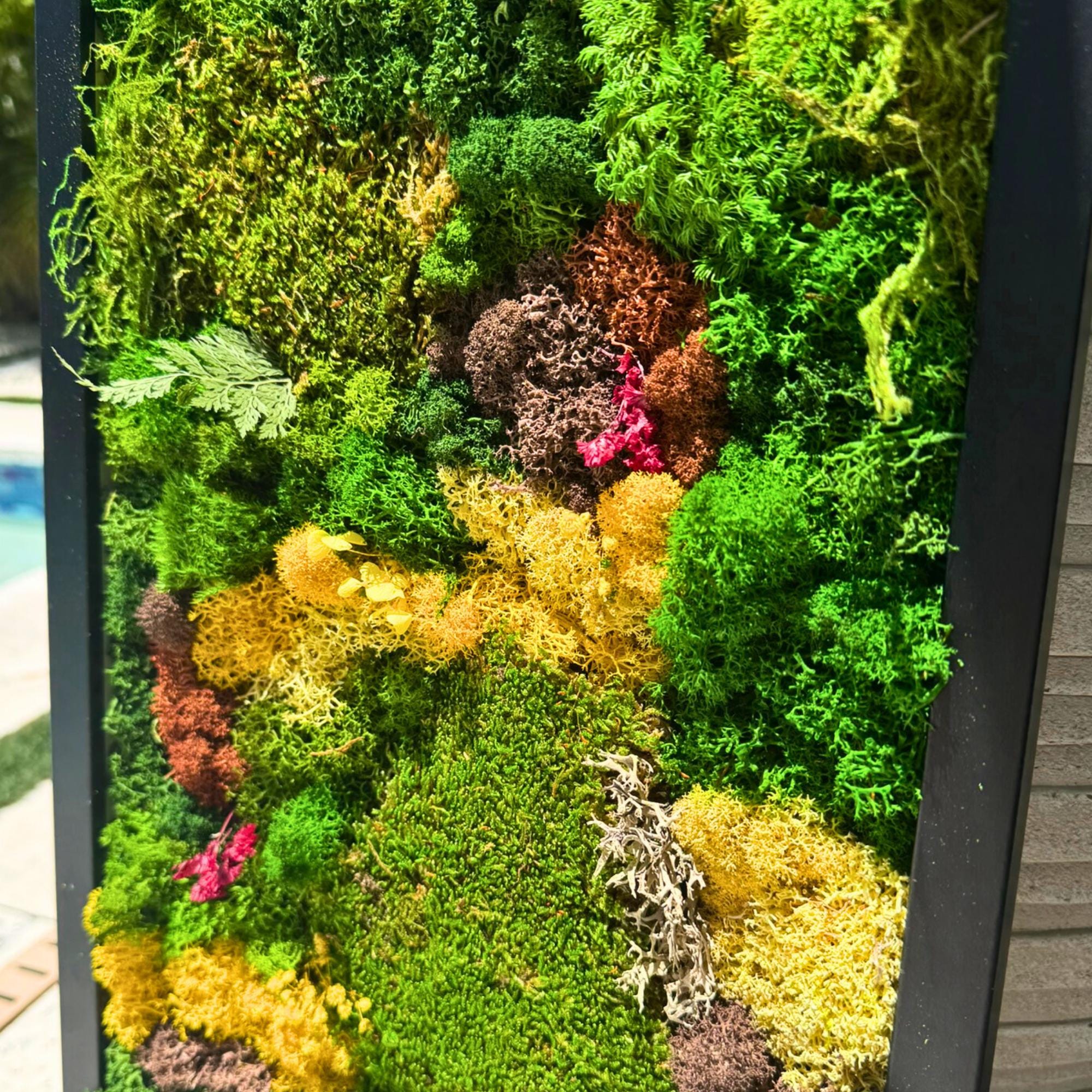 Vertical Moss Wall Art | Earthy Green Botanical Decor | Preserved Moss ...